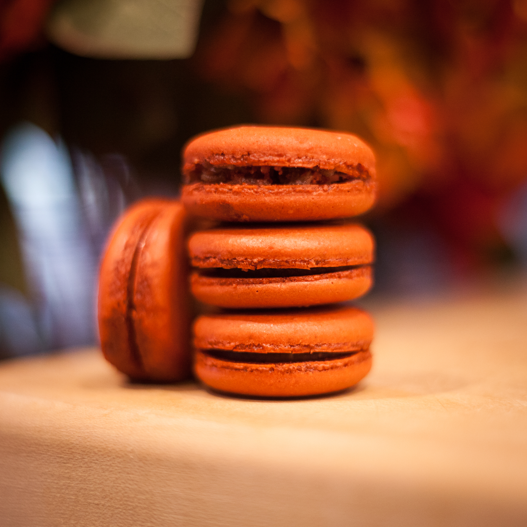 Frisky Cat Cafe | Cafe and Cat Lounge